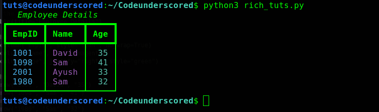 How to Format Terminal Using Python's Rich Library