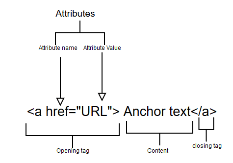 How to add an anchor link to scroll to a specific section of a page