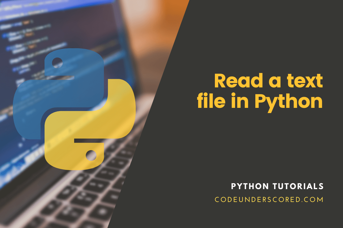 How To Read A Text File In Python Code Underscored
