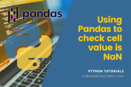 Pandas to check cell value is NaN | Code Underscored