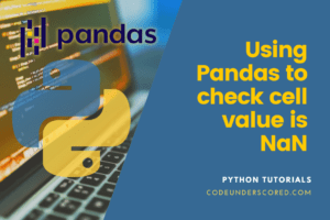 Pandas to check cell value is NaN | Code Underscored