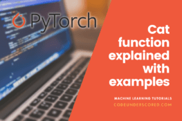 Cat PyTorch function explained with examples | Code Underscored